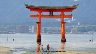 Wir bauen ein Torii für unser Japanfestival "Samurai Matsuri ...